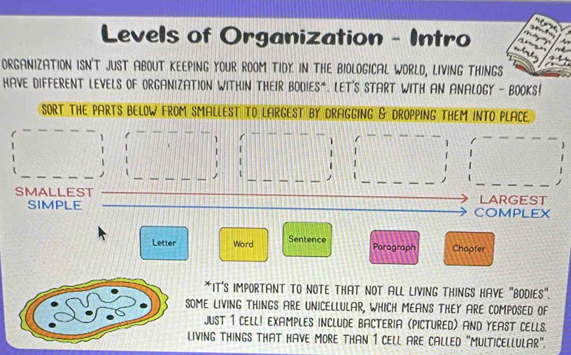 Solved: Levels of Organization - Intro ORGANIZATION ISN'T JUST ABOUT ...