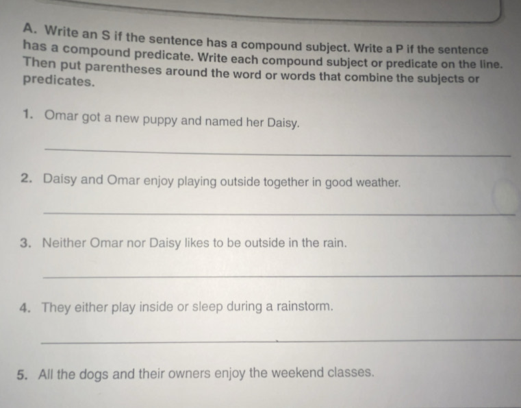 Solved: Write an S if the sentence has a compound subject. Write a P if ...