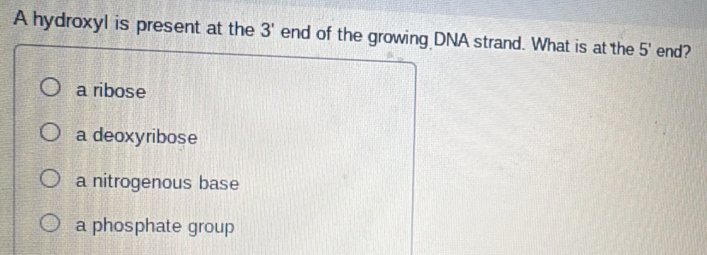 Solved: A hydroxyl is present at the 3' end of the growing DNA strand ...