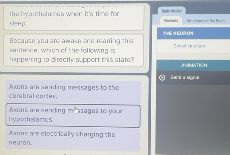 Solved: the hypothalamus when it's time for Brain Model Neurons sleep ...