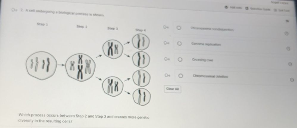 Gelöst:Angid Lwyes Né nots Queatión Cuids 2. A cell undergoing a ...