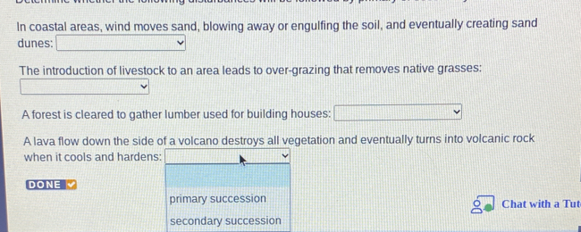 Solved: In coastal areas, wind moves sand, blowing away or engulfing ...