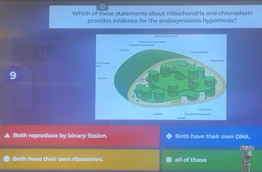 Solved: Which of these statements about mitochondria and chloroplasts ...