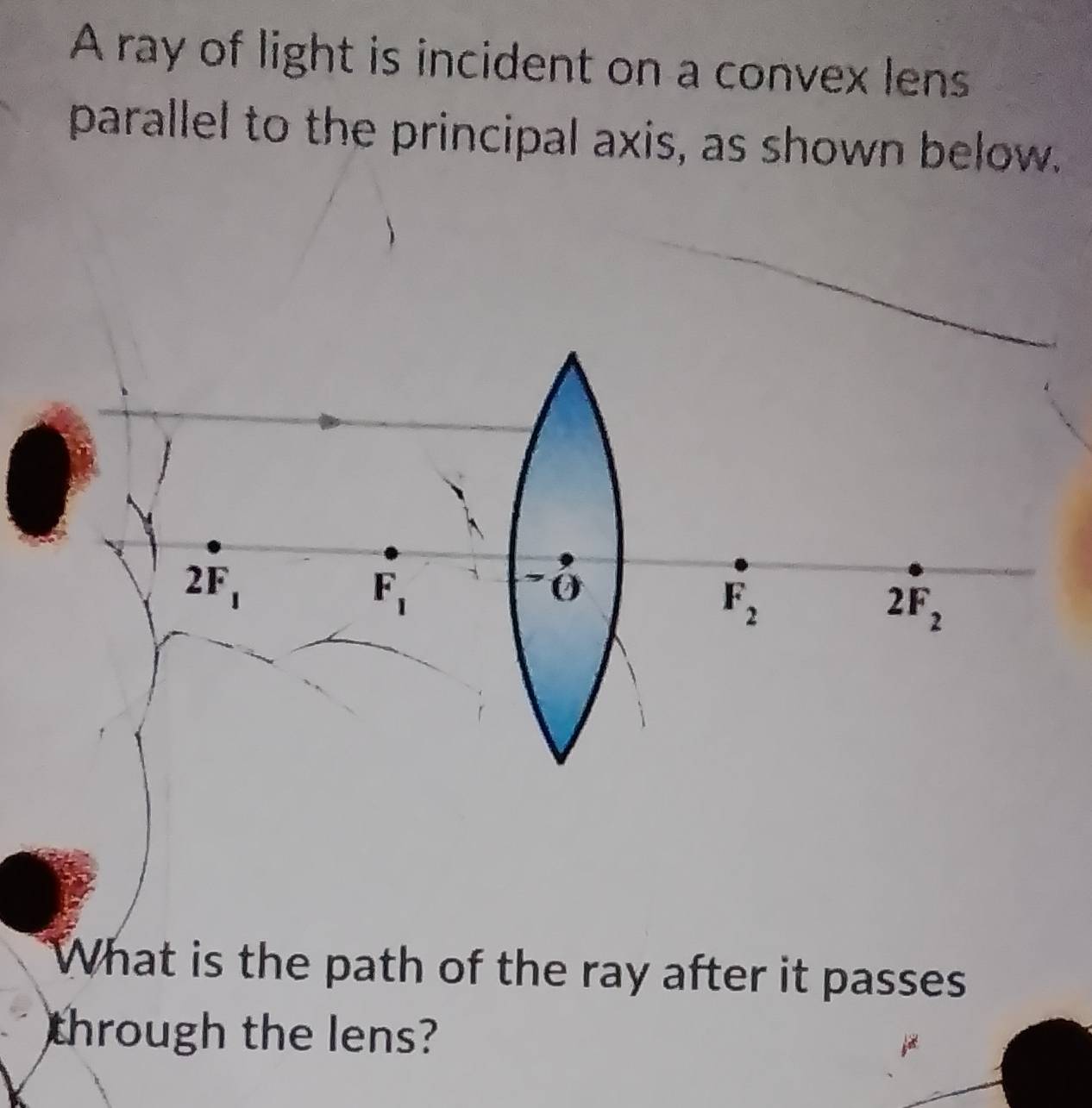 Solved: A ray of light is incident on a convex lens parallel to the ...