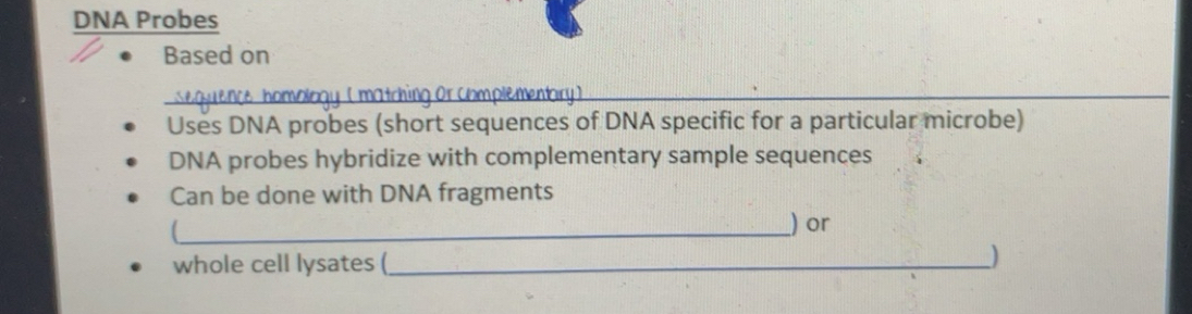 Solved: DNA Probes Based on re homoleay ( matching Or Complémentary ...