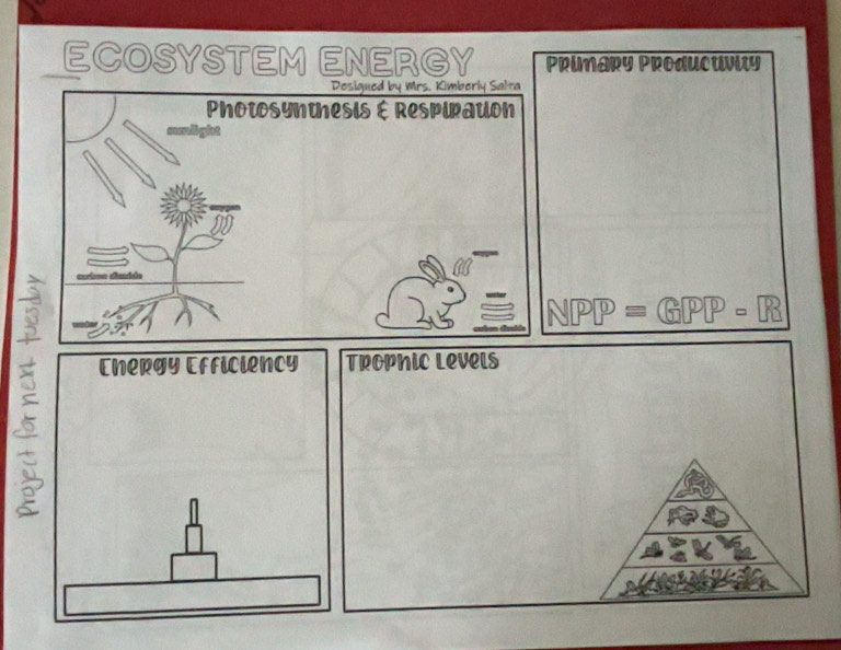 Solved: ECOSYSTEM ENERGY Primary Productly Designed by Mrs. Kimberly ...