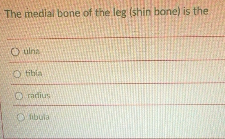 Solved: The medial bone of the leg (shin bone) is the ulna tibia radius ...