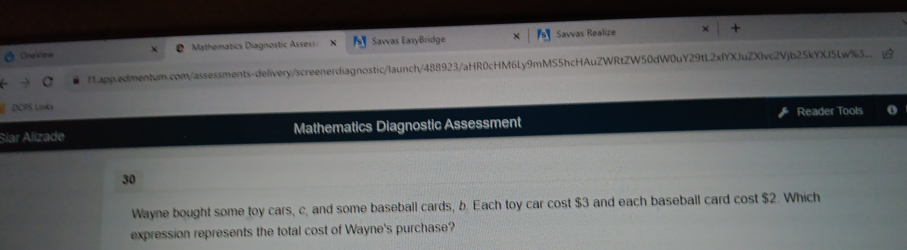 OneViea Mathematics Diagnost c e Savvas EasyBridge Savvas Realize f1 ...