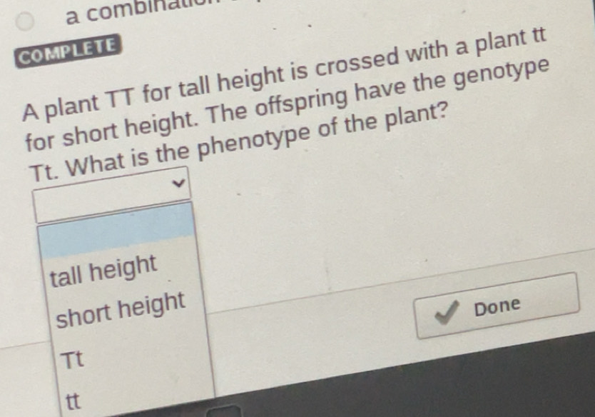 Solved: a combinatió COMPLETE A plant TT for tall height is crossed ...