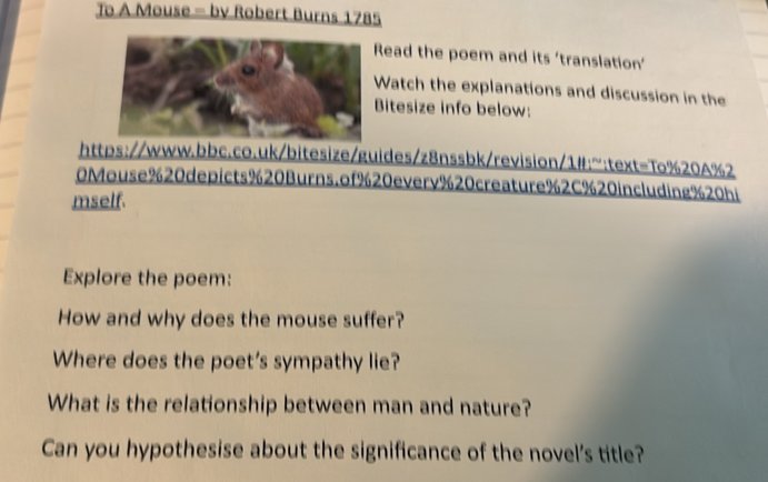 Solved: To A Mouse - by Robert Burns 1785 Read the poem and its ...