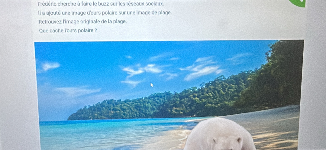 Résolu :Frédéric cherche à faire le buzz sur les réseaux sociaux. Il a ajouté une image d'ours po