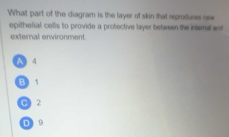 Solved: What part of the diagram is the layer of skin that reproduces ...