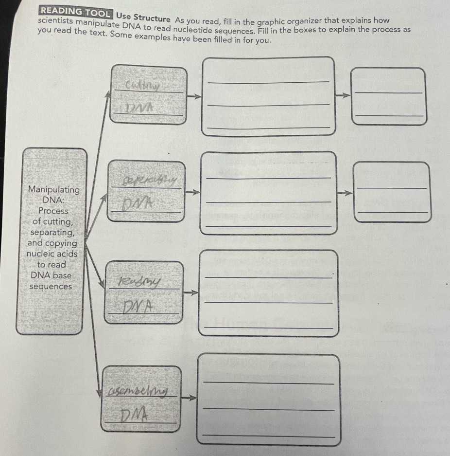Solved: READING TOOL. Use Structure As you read, fill in the graphic ...