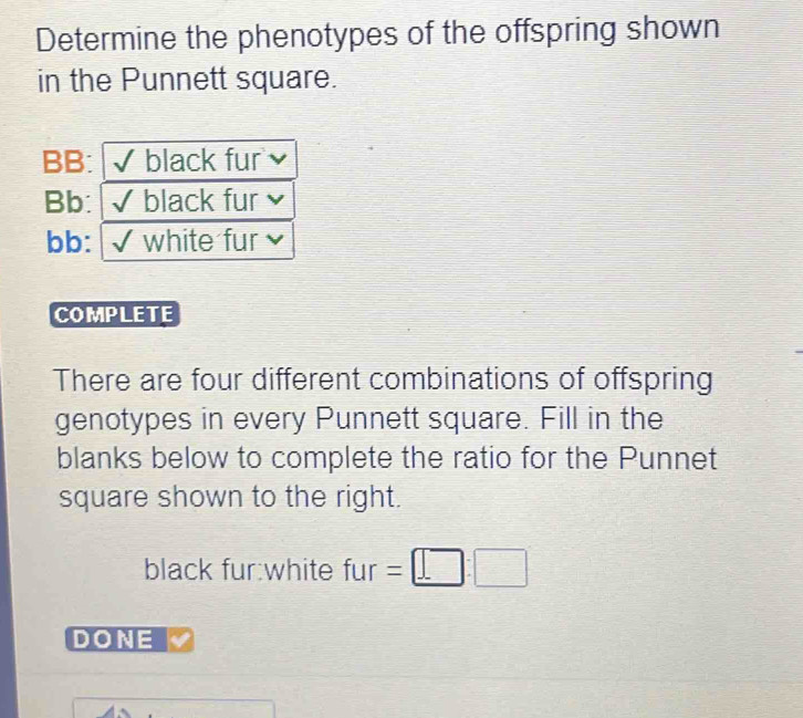 Solved: Determine the phenotypes of the offspring shown in the Punnett ...