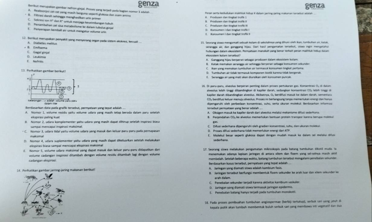 Telah dijawab:genza genza Berikut merupakan gambar nefron ginjal ...
