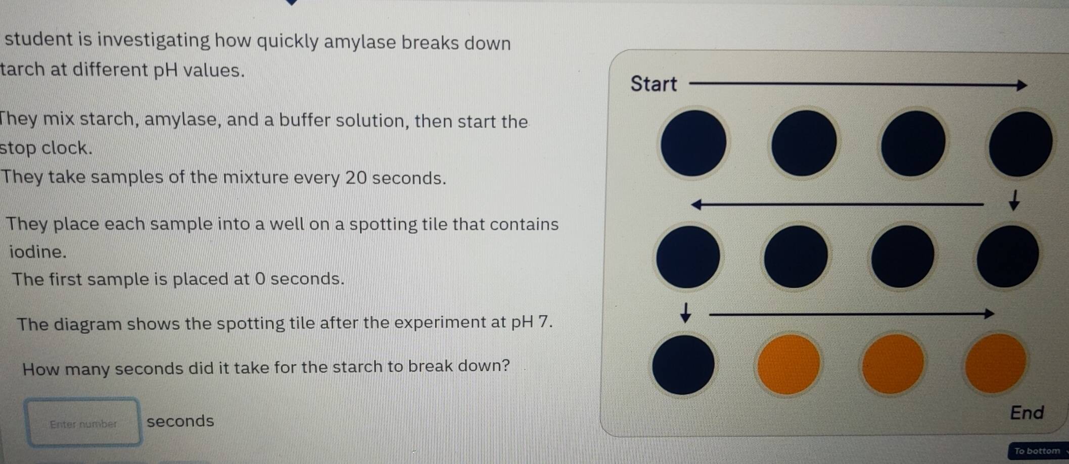 Gelöst:student is investigating how quickly amylase breaks down tarch ...