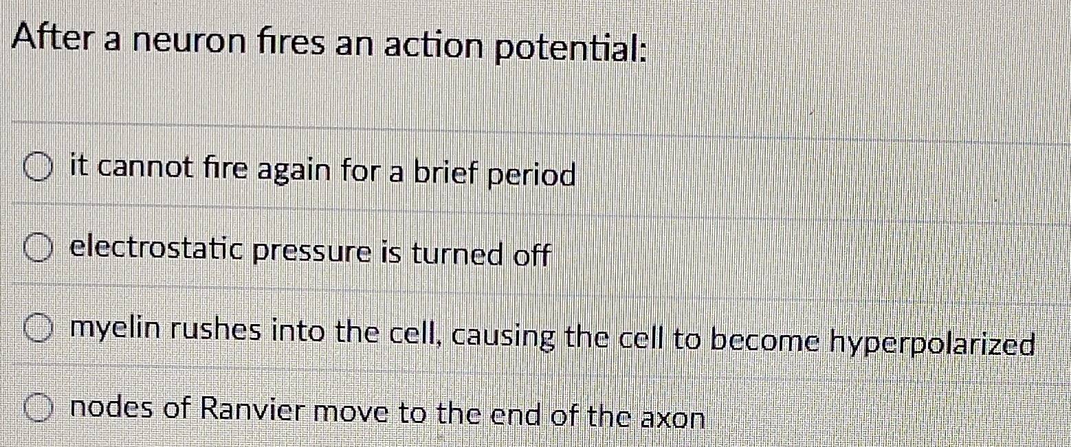 Solved: After a neuron fires an action potential: it cannot fire again ...