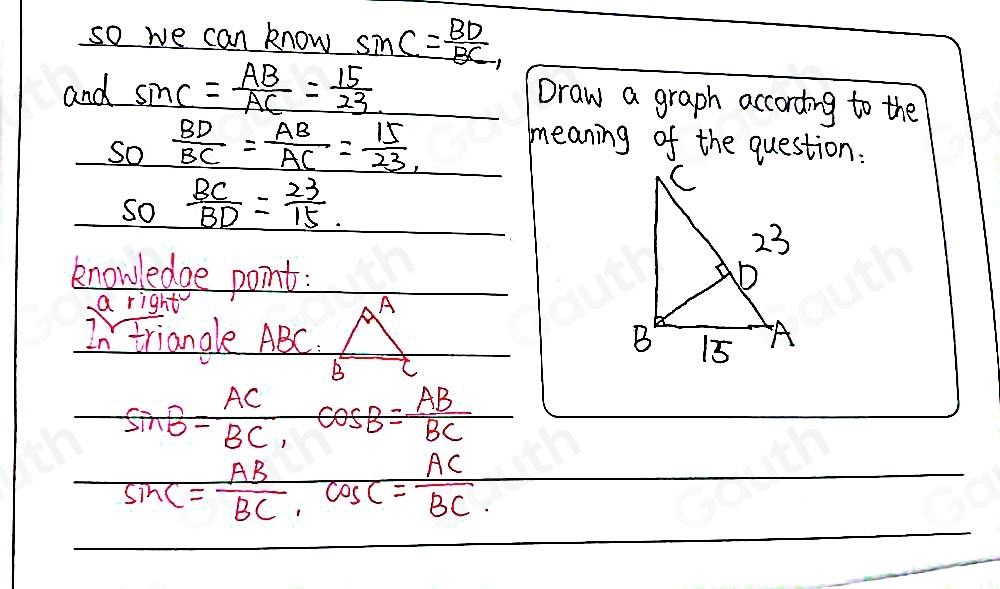 Solved: In triangle ABC, the measure of angle B is 90° and overline BD is an altitude of the ...