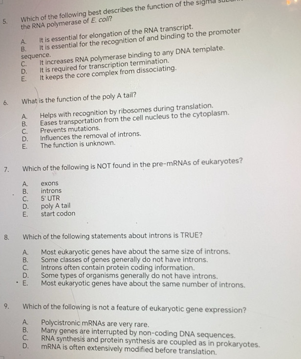Selesai:Which of the following best describes the function of the sigma ...