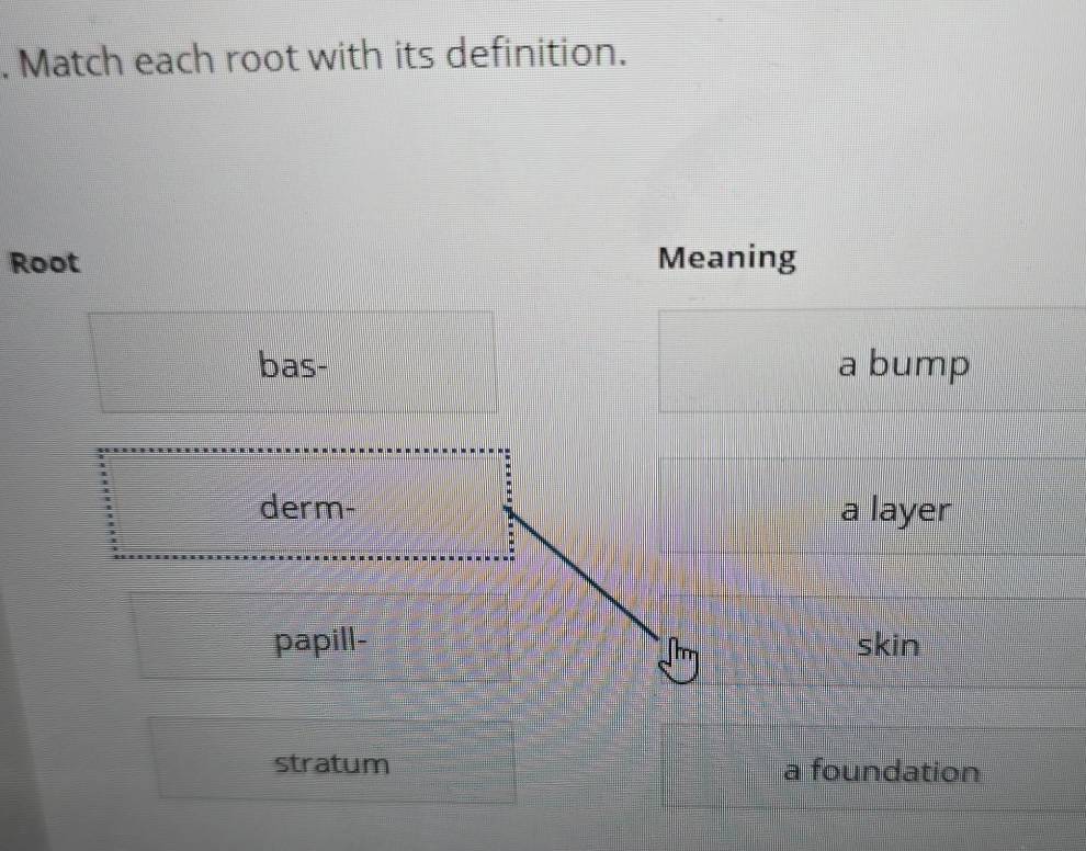 Solved: Match each root with its definition. Root Meaning bas- a bump ...