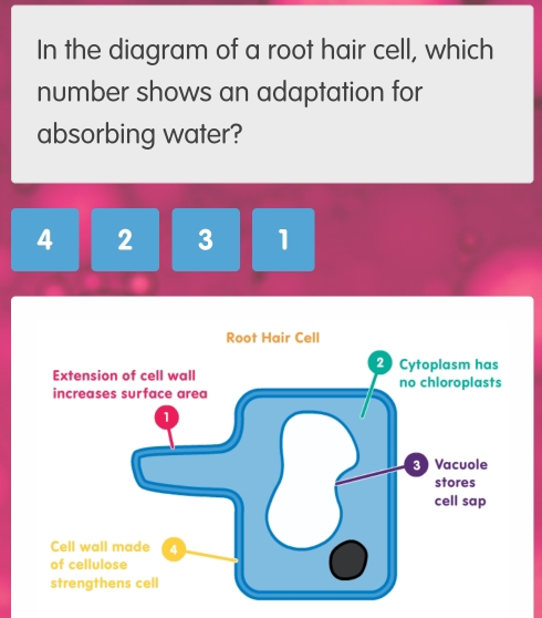 Solved: In the diagram of a root hair cell, which number shows an ...