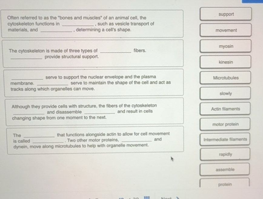 Solved: support Often referred to as the "bones and muscles" of an ...