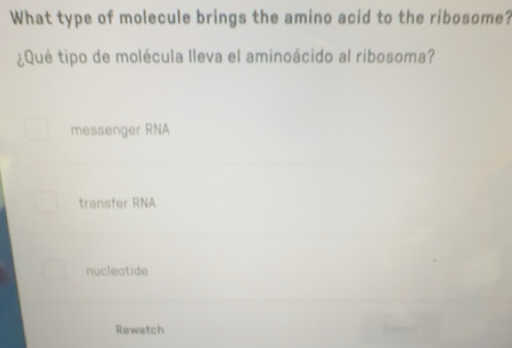 Resuelto:What type of molecule brings the amino acid to the ribosome ...