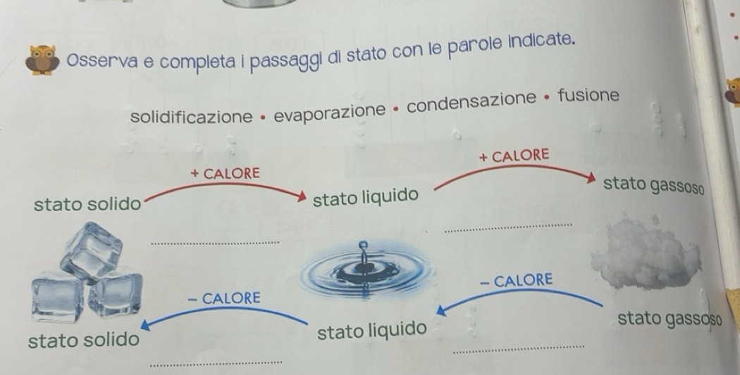 Risolto:Osserva e completa i passaggi di stato con le parole indicate ...