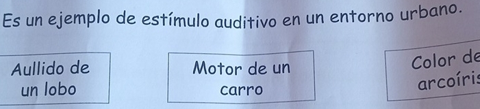 Resuelto:Es un ejemplo de estímulo auditivo en un entorno urbano ...