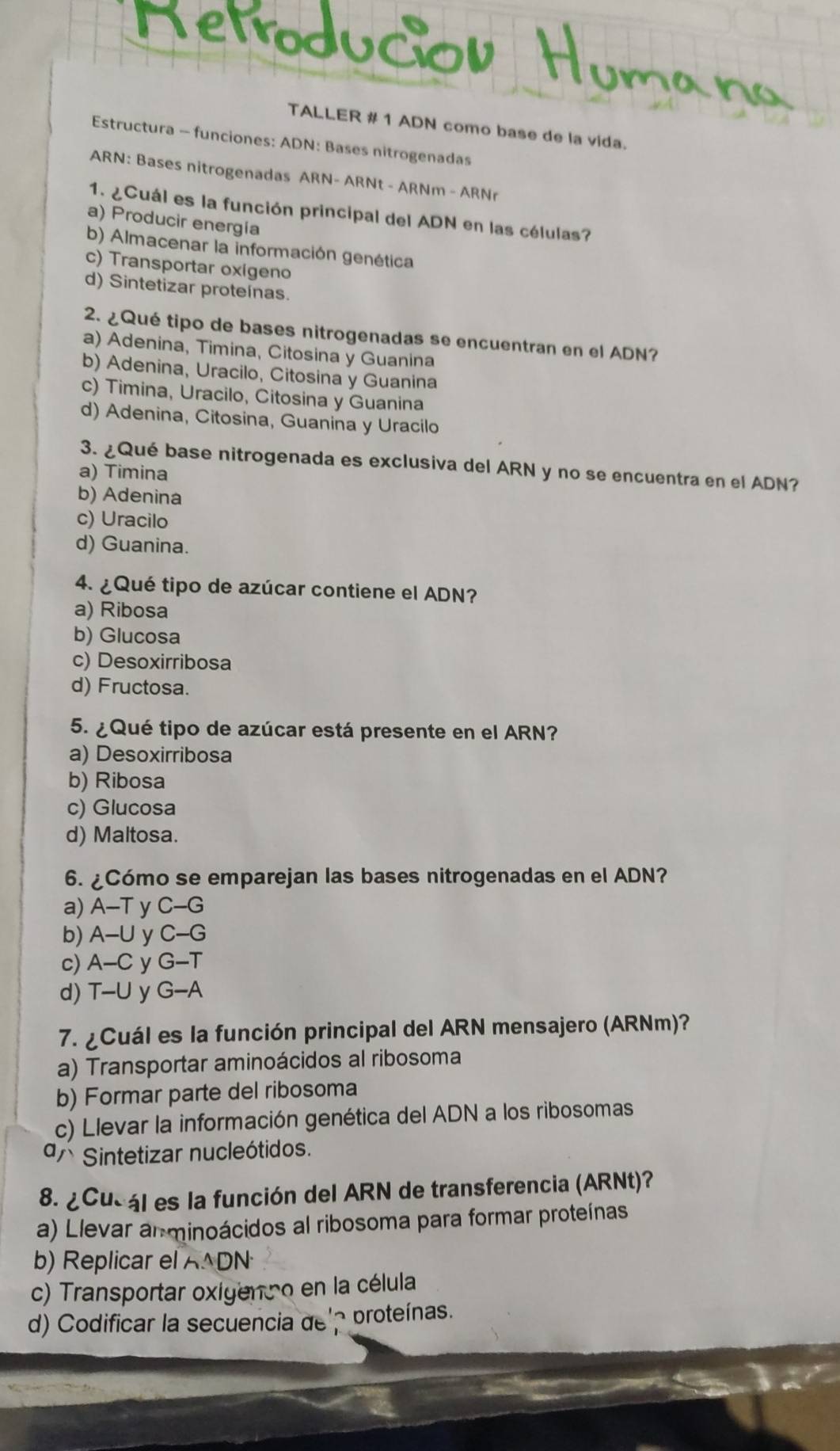 Resuelto:TALLER # 1 ADN como base de la vida. Estructura - funciones: ADN: Bases nitrogenadas ARN:
