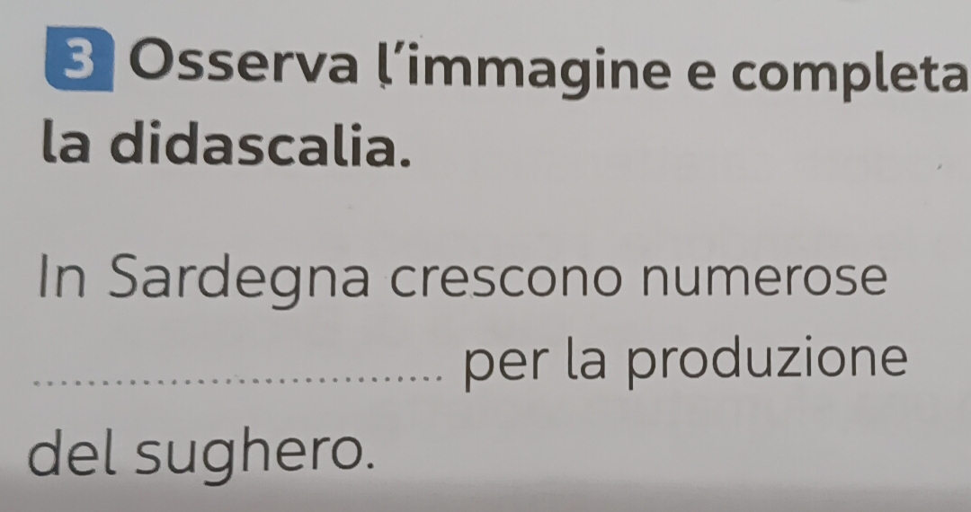 Risolto:Osserva l’immagine e completa la didascalia. In Sardegna ...
