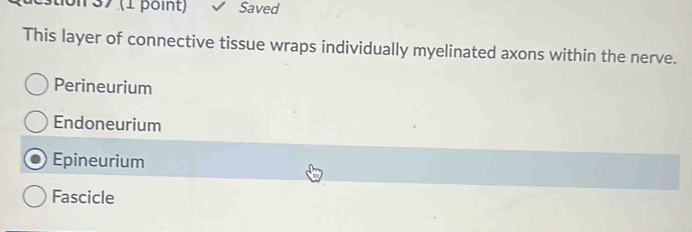 Solved: Saved This layer of connective tissue wraps individually ...