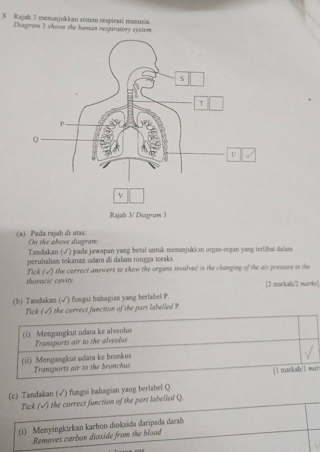 Selesai:Rajah 3 menunjukkan sistem respirasi manusia. Diagram 3 shows ...