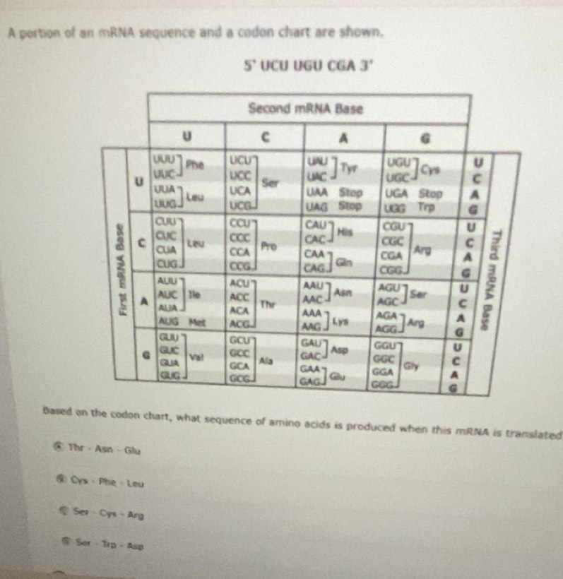 Solved: A portion of an mRNA sequence and a codon chart are shown. 5 ...