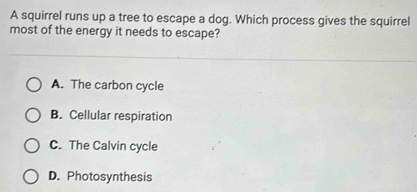 Solved: A squirrel runs up a tree to escape a dog. Which process gives ...