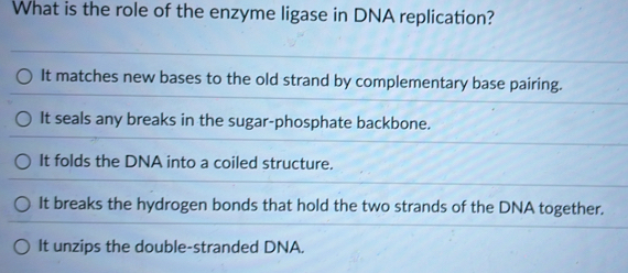 Solved: What is the role of the enzyme ligase in DNA replication? It ...