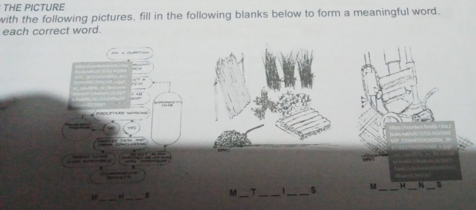 Solved: THE PICTURE with the following pictures, fill in the following ...