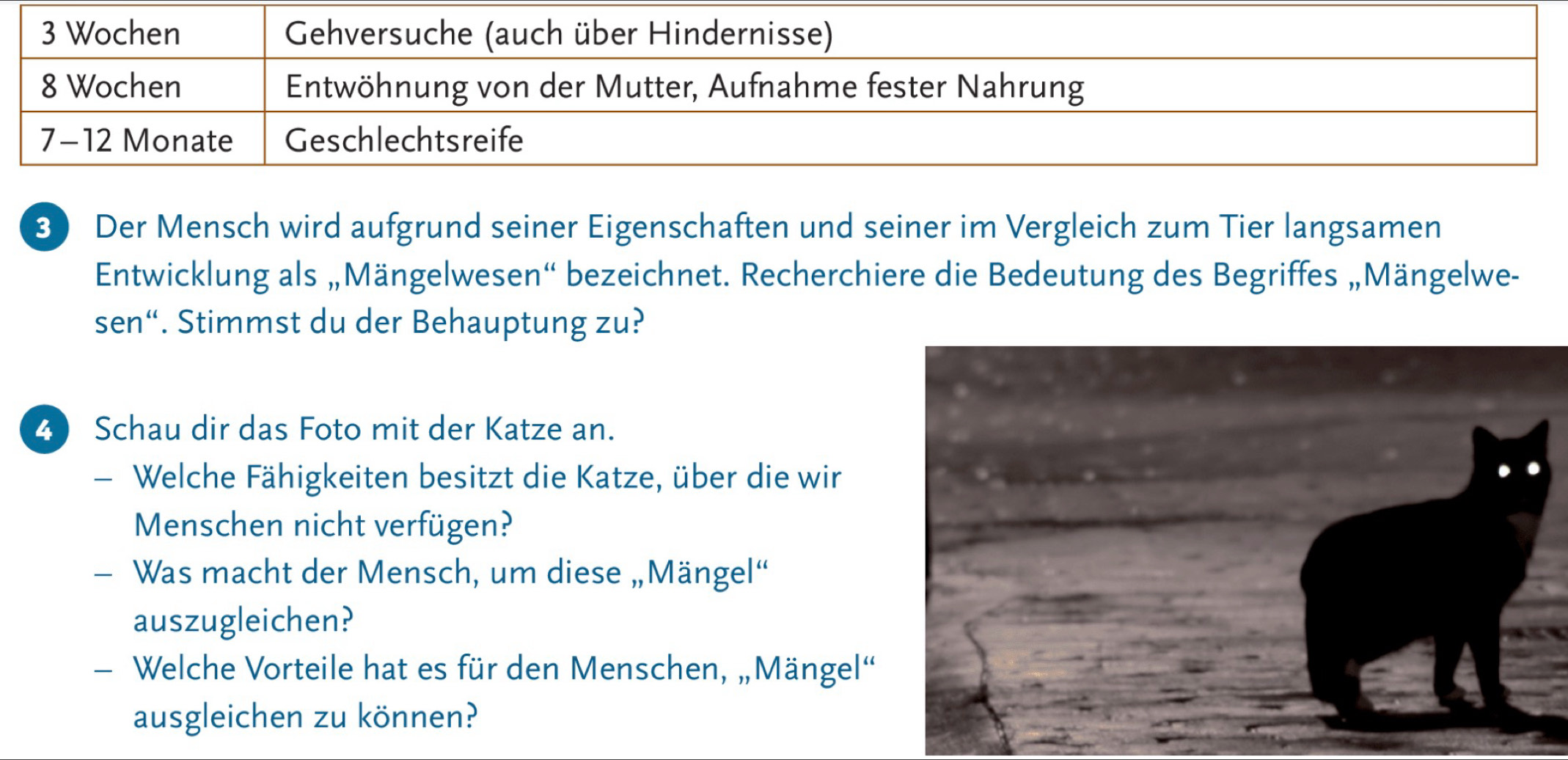 Gelöst:Der Mensch wird aufgrund seiner Eigenschaften und seiner im ...