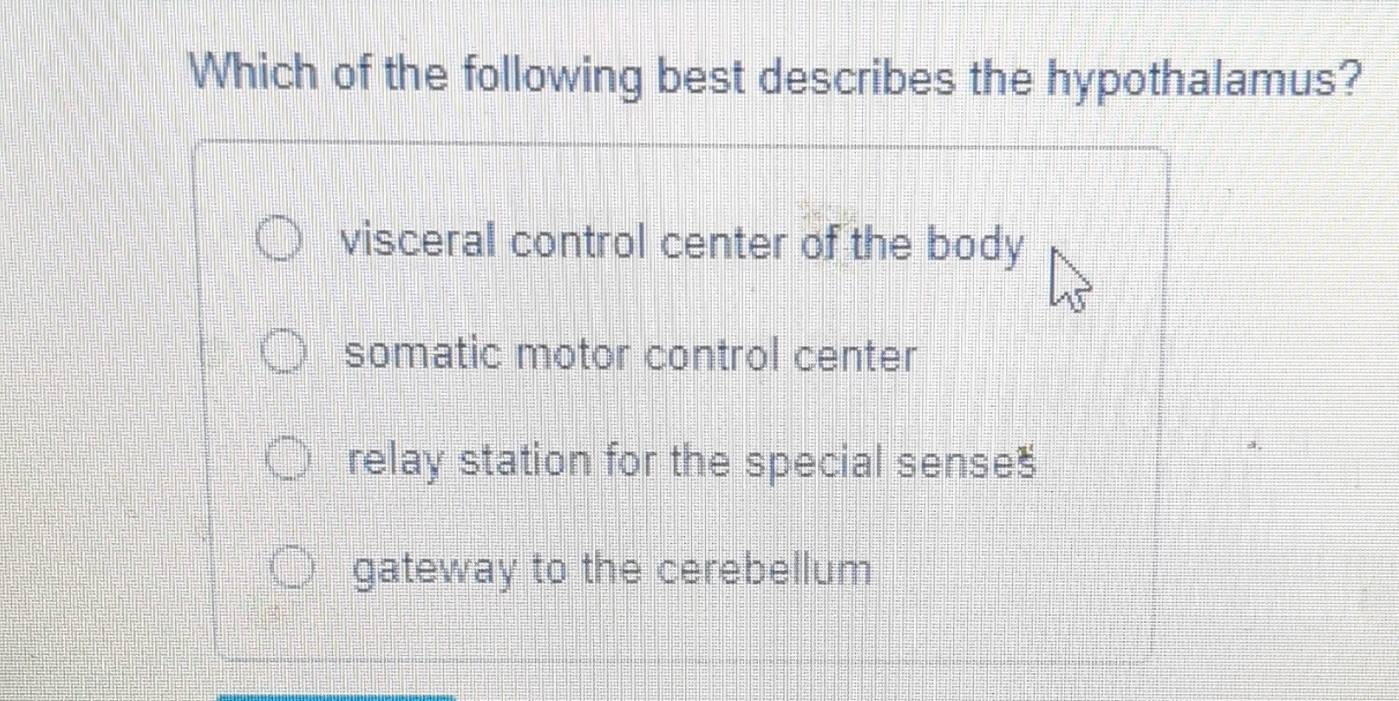 Solved: Which of the following best describes the hypothalamus ...