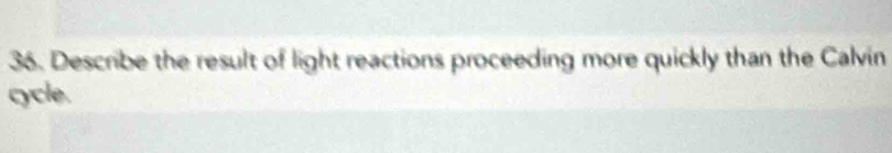 Solved: Describe the result of light reactions proceeding more quickly ...
