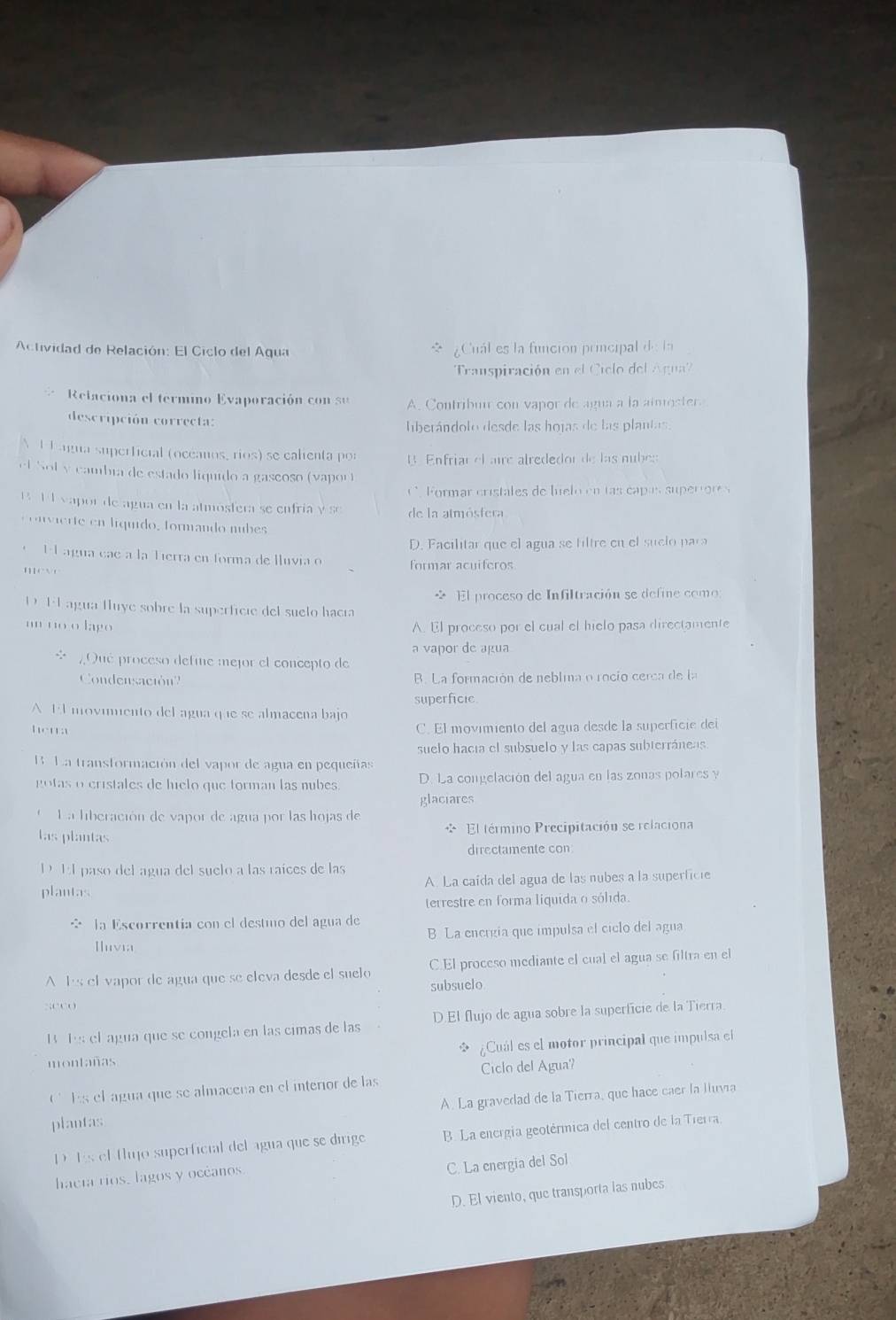 Resuelto:Actividad de Relación: El Ciclo del Aqua * ¿Cuál es la función ...