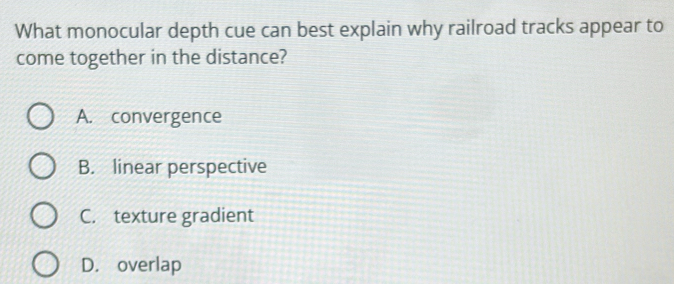 Solved: What monocular depth cue can best explain why railroad tracks ...