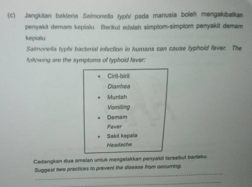 Selesai:Jangkitan bakteria Salmonella typhi pada manusia boleh ...