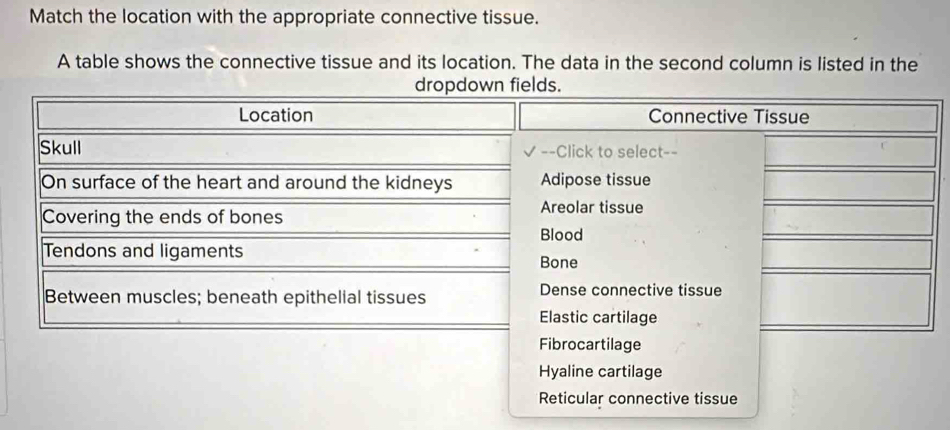 Solved: Match the location with the appropriate connective tissue. A ...