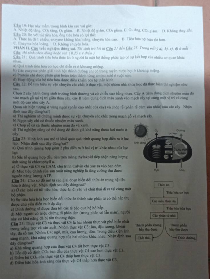Giải quyết:Hạt này mằm trong bình kín sau vài giờ: tāng.CO_1 giảm. D ...