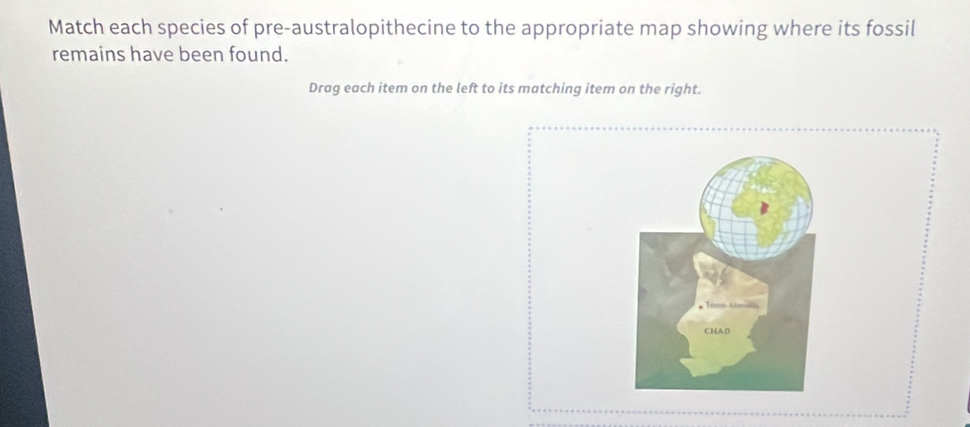 Solved: Match each species of pre-australopithecine to the appropriate ...