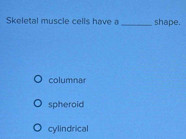 Solved: Skeletal muscle cells have a _shape. columnar spheroid ...