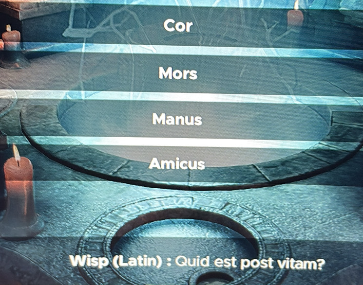 Solved: Cor Mors Manus Amicus Wisp (Latin) : Quid est post vitam? [Others]