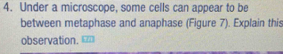 Solved: Under a microscope, some cells can appear to be between ...