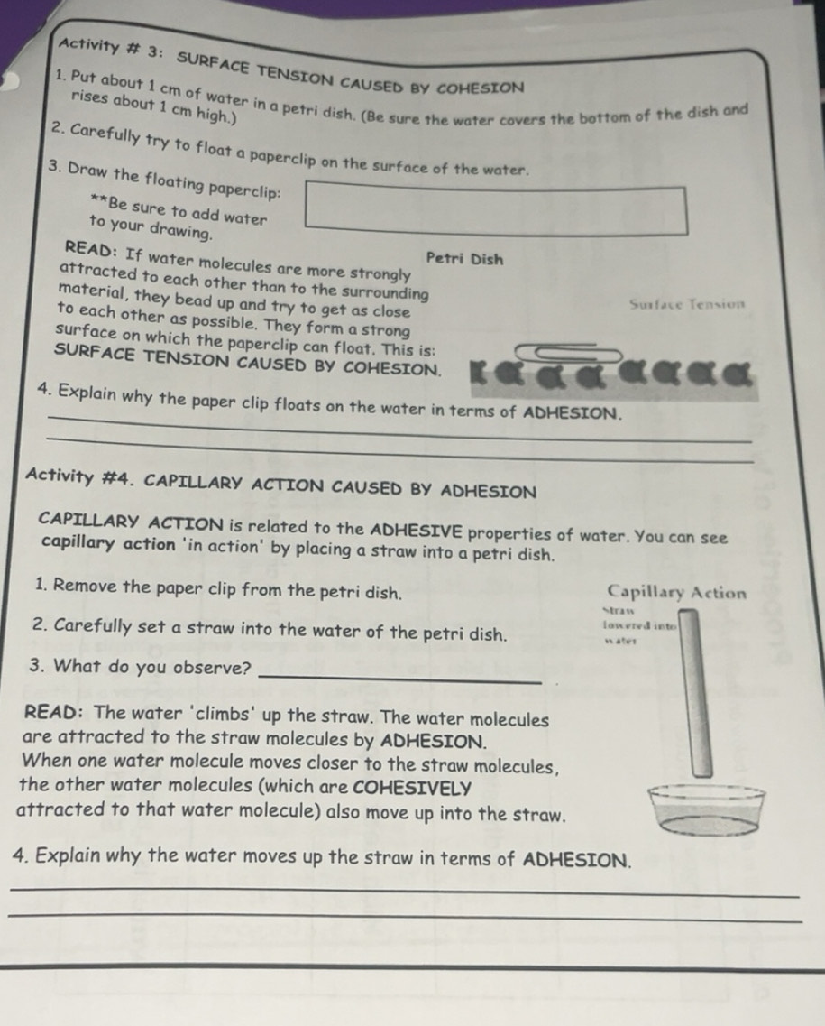 Solved: Activity # 3：SURFACE TENSION CAUSED BY COHESION 1. Put about 1 ...